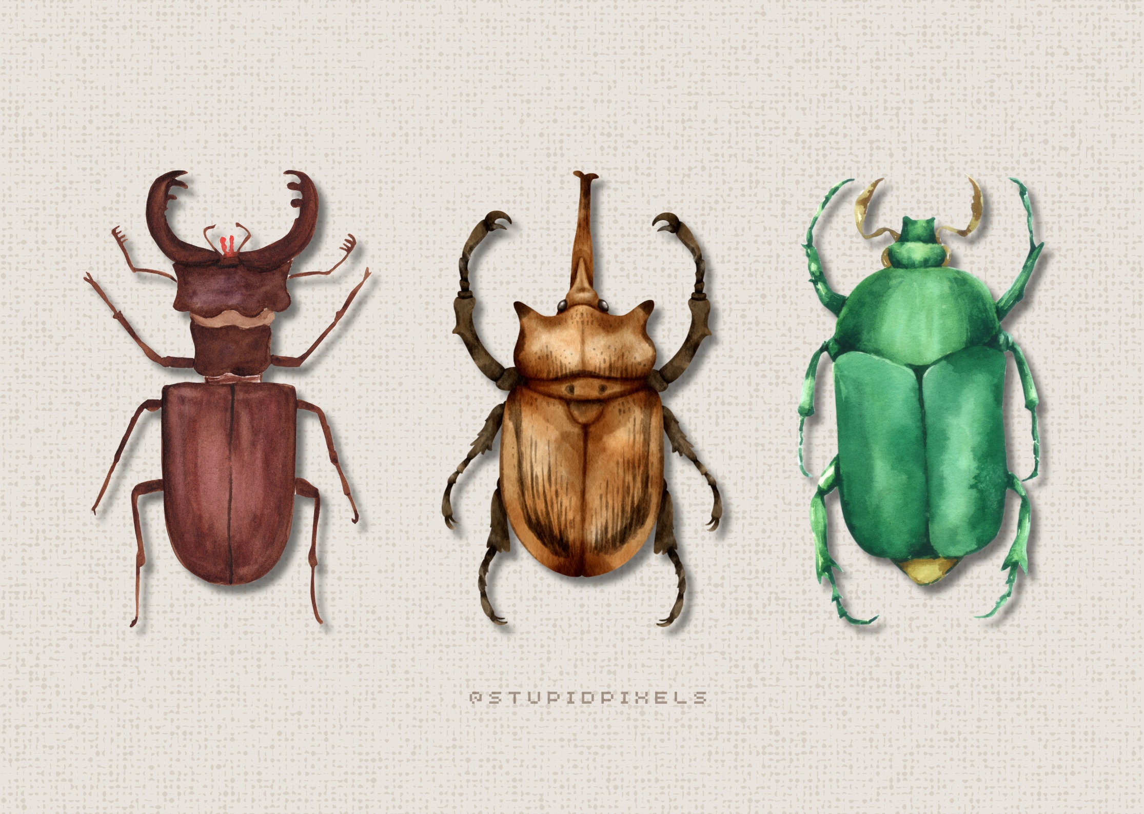 Insect Gallery Wall Set of 6 Printable Art Digital Download Bug ...