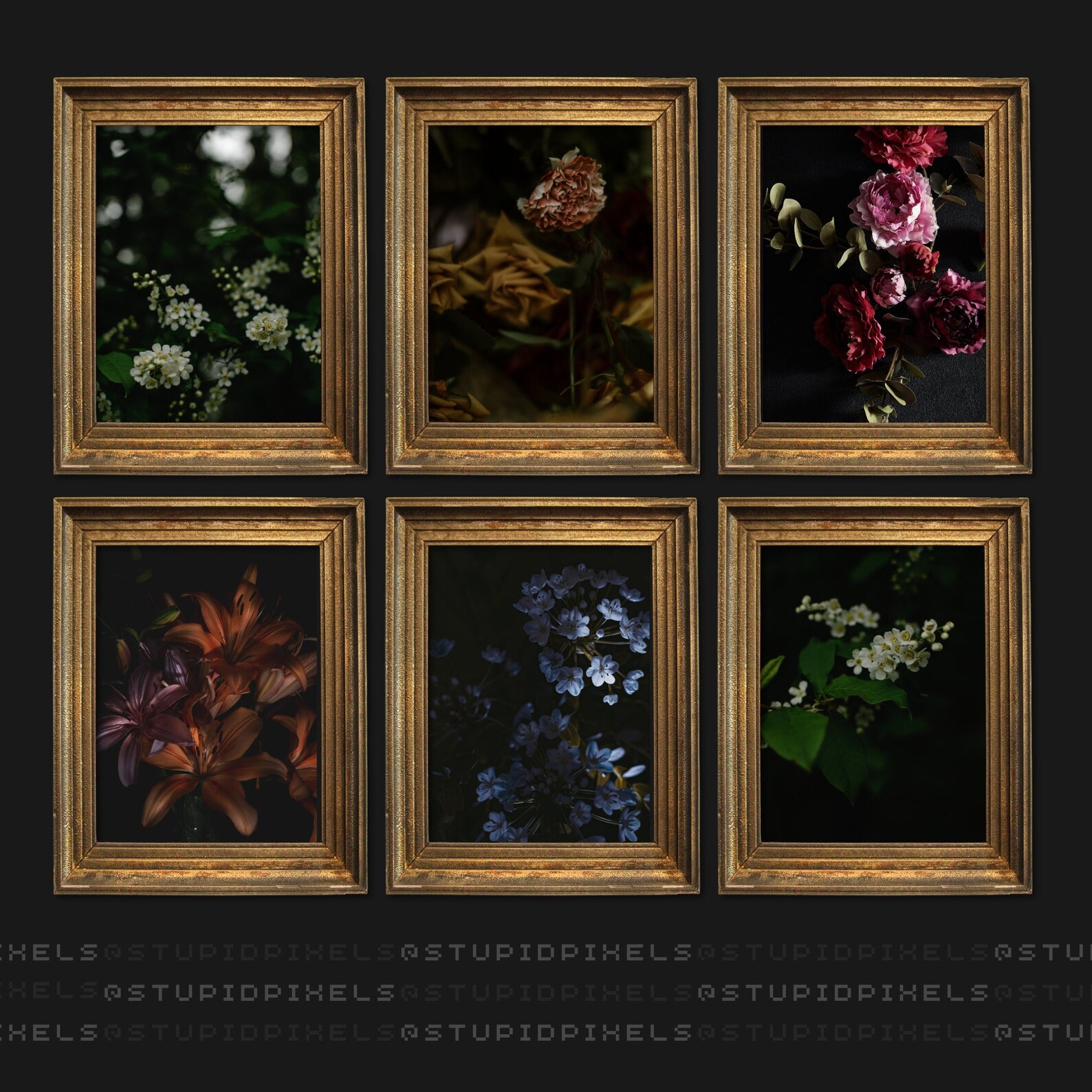 Dark Floral Bundle Set of 6 - Art Print Digital Download - Dark ...