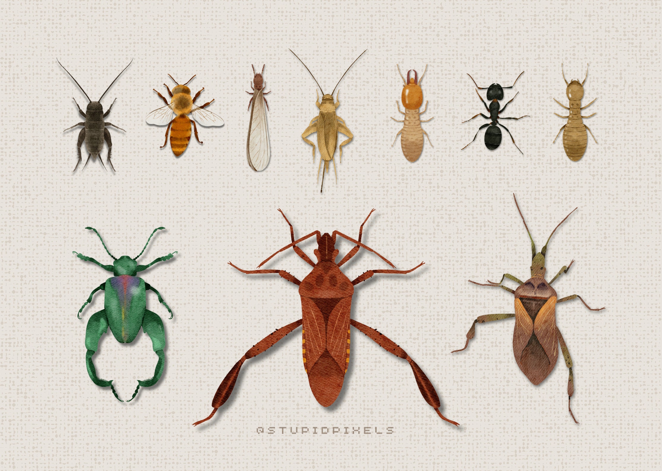 Insect Gallery Wall Set of 6 Printable Art Digital Download Bug ...