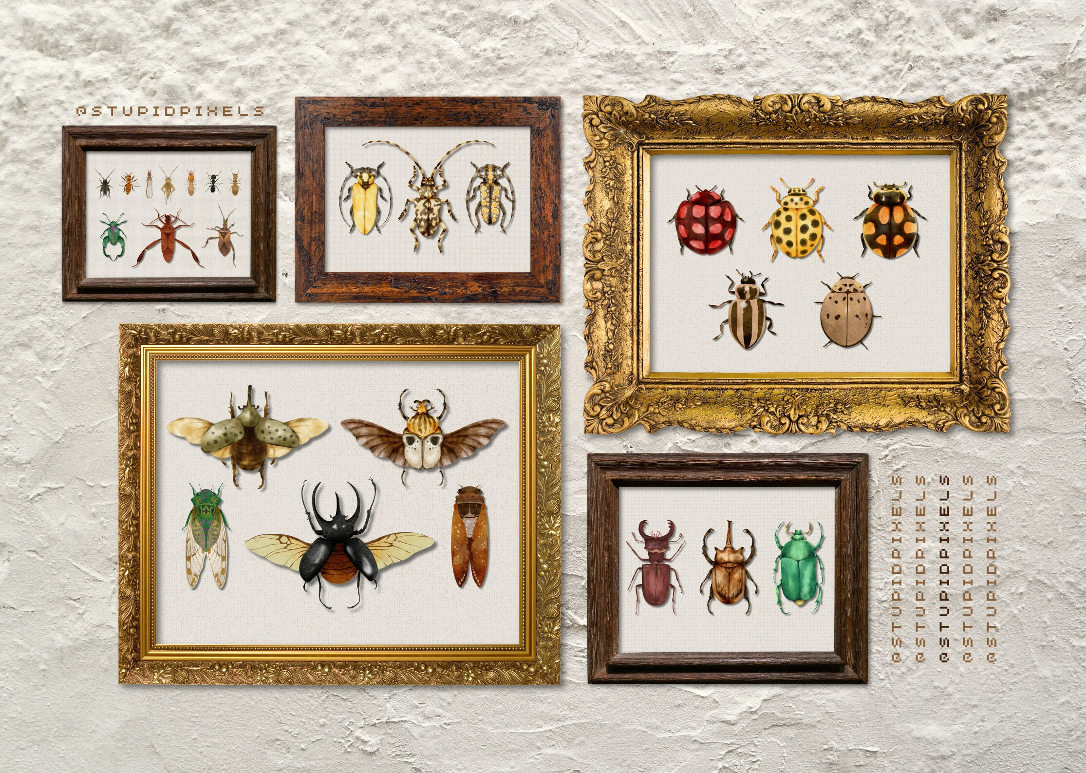 Insect Gallery Wall Set of 6 Printable Art Digital Download Bug ...