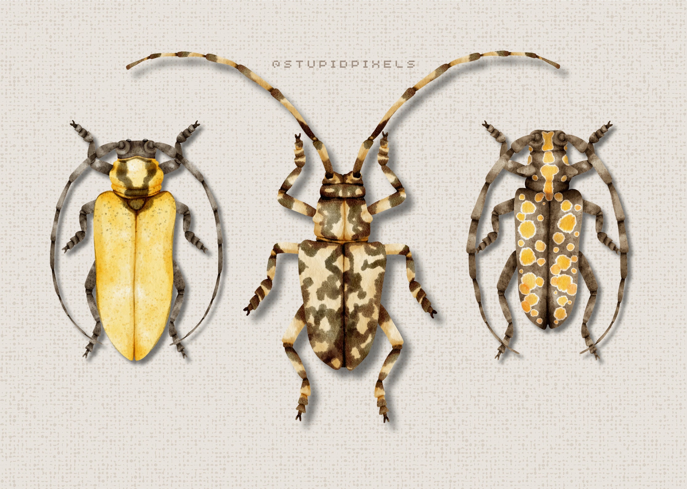 Insect Gallery Wall Set of 6 Printable Art Digital Download Bug ...