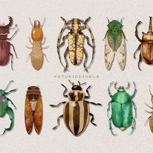 Insect Gallery Wall Set of 6 Printable Art Digital Download Bug ...