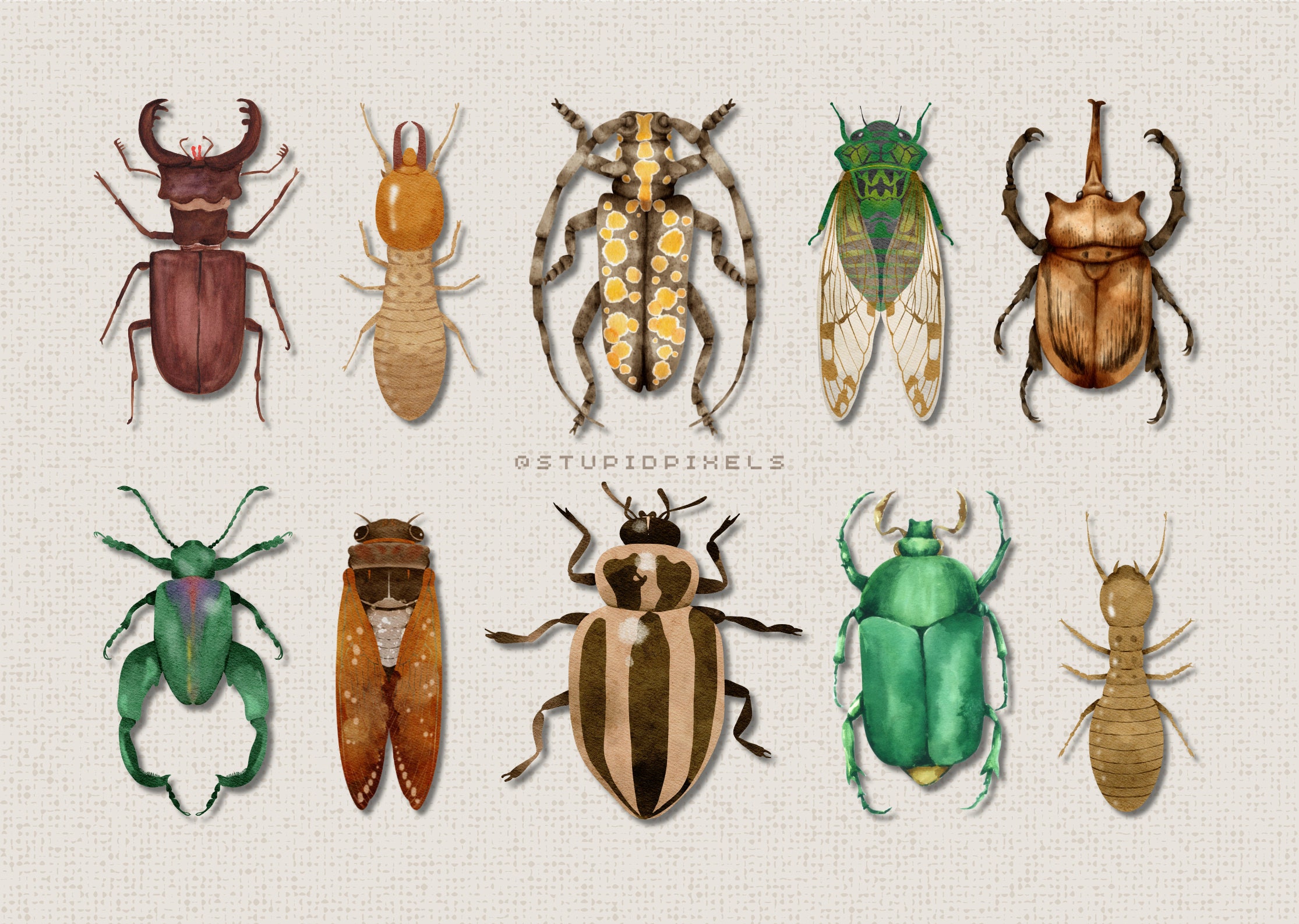 Insect Gallery Wall Set of 6 Printable Art Digital Download Bug ...