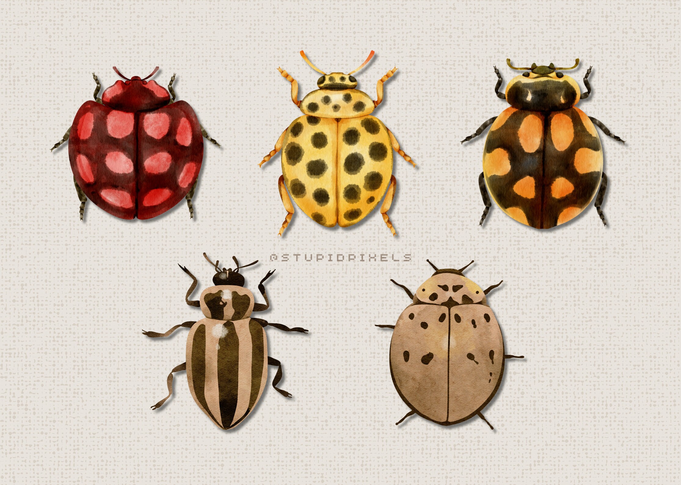 Insect Gallery Wall Set of 6 Printable Art Digital Download Bug ...