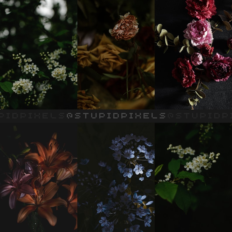 Dark Floral Bundle Set of 6 - Art Print Digital Download - Dark ...