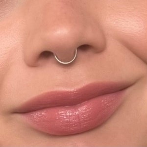 Surgical Steel Hinged Segment Ring: Daith, Nose, Tragus Piercing - Etsy