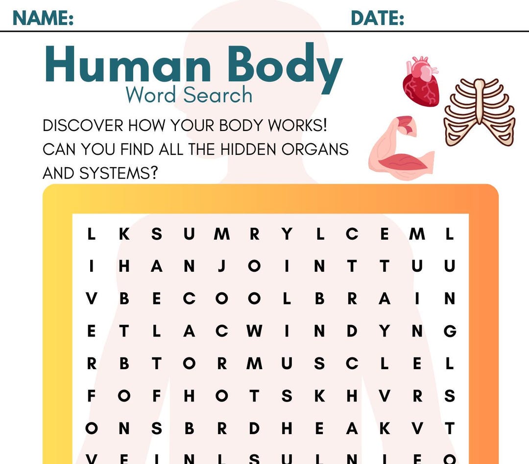 Human Body Word Search | Organs and Systems for Kids - Etsy
