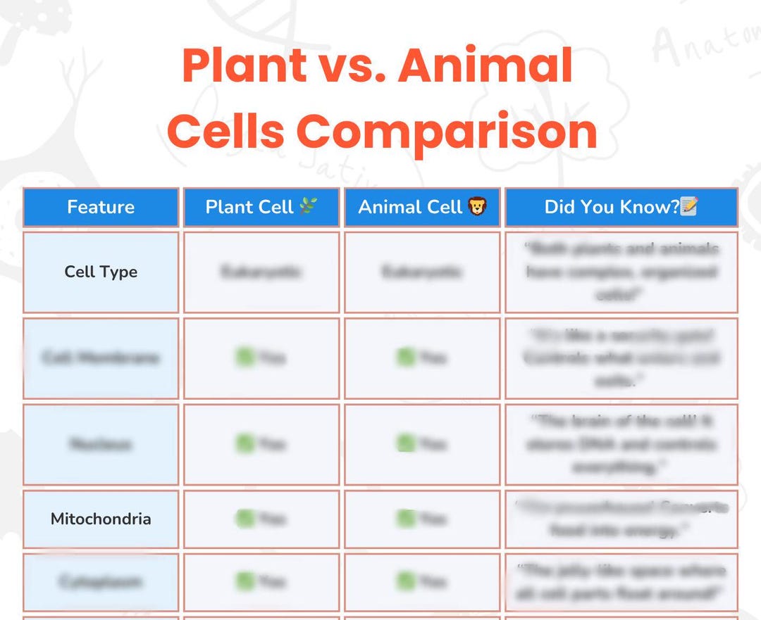Plant Vs Animal Cells- Digital Printable Chart - Etsy
