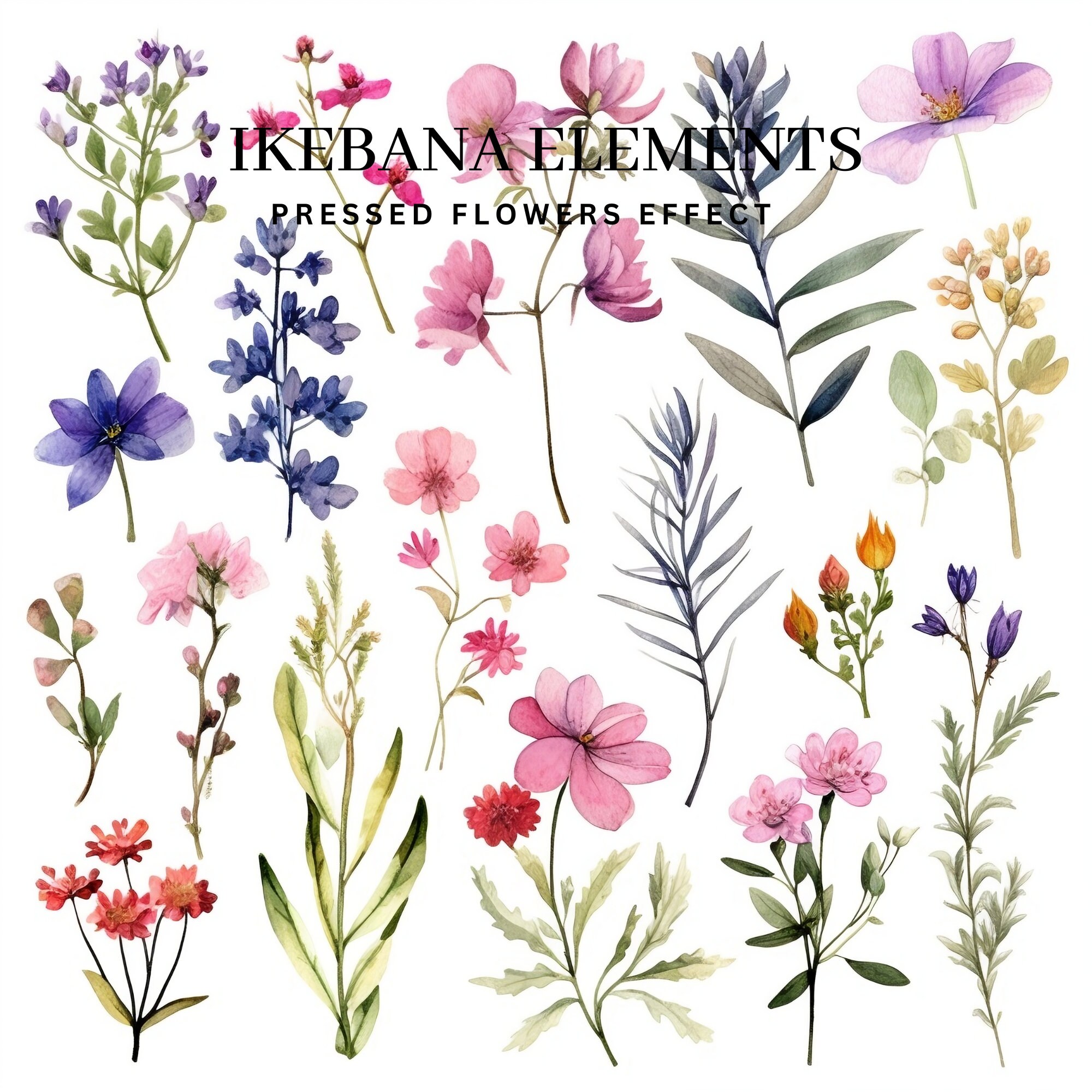 Watercolor Floral Clipart Wild Flowers Clipart Minimalist Flowers ...