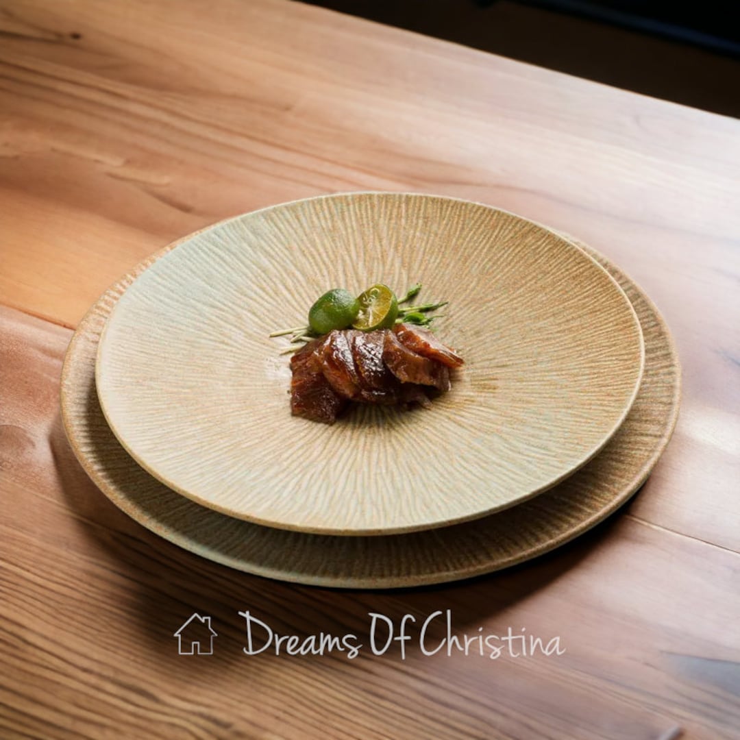 Ceramic Steak Plate Japanese Plate Ceramic Round Plate - Etsy