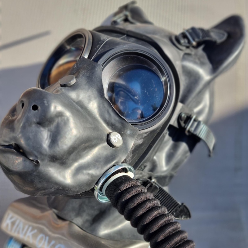 Latex Pup Hoods - Etsy