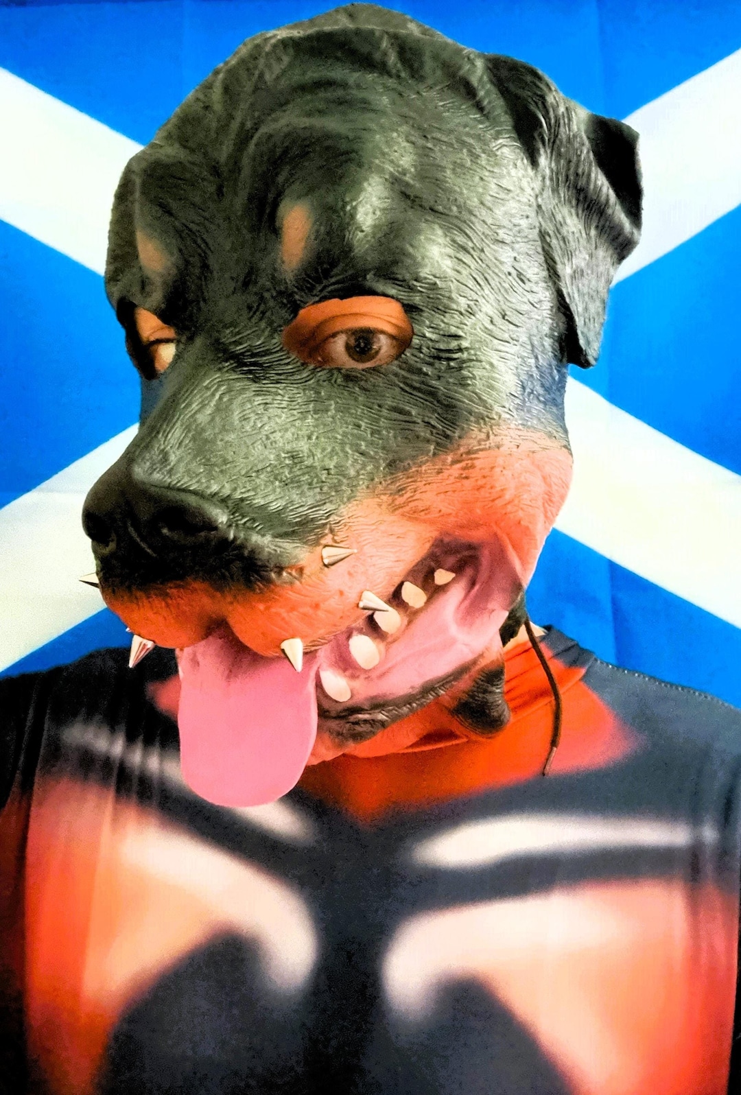 Doberman Moulded Latex Dog Mask Rubber. Dobbie Gay Puppy Play Pup Hood ...