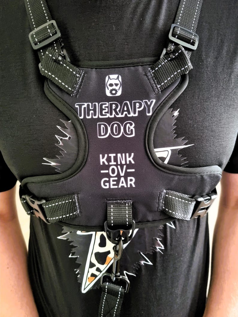 Service Puppy Harness Therapy Dog Human Sizexl W/leash Budget Vest ...