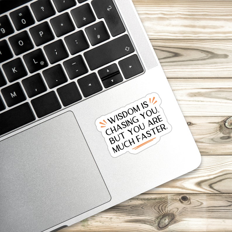 Sarcastic Saying Kiss-cut Vinyl Decals - Etsy