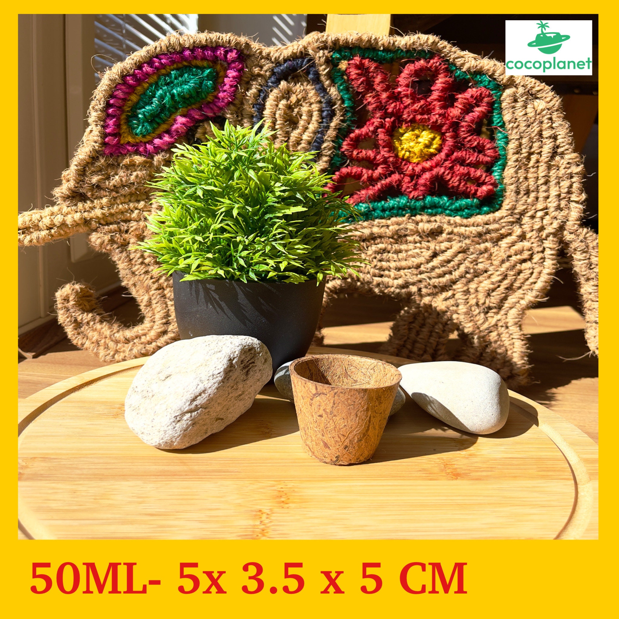 Coconut Coir Plant Pots Bundle / 10 Pack. Different Size Pack. - Etsy