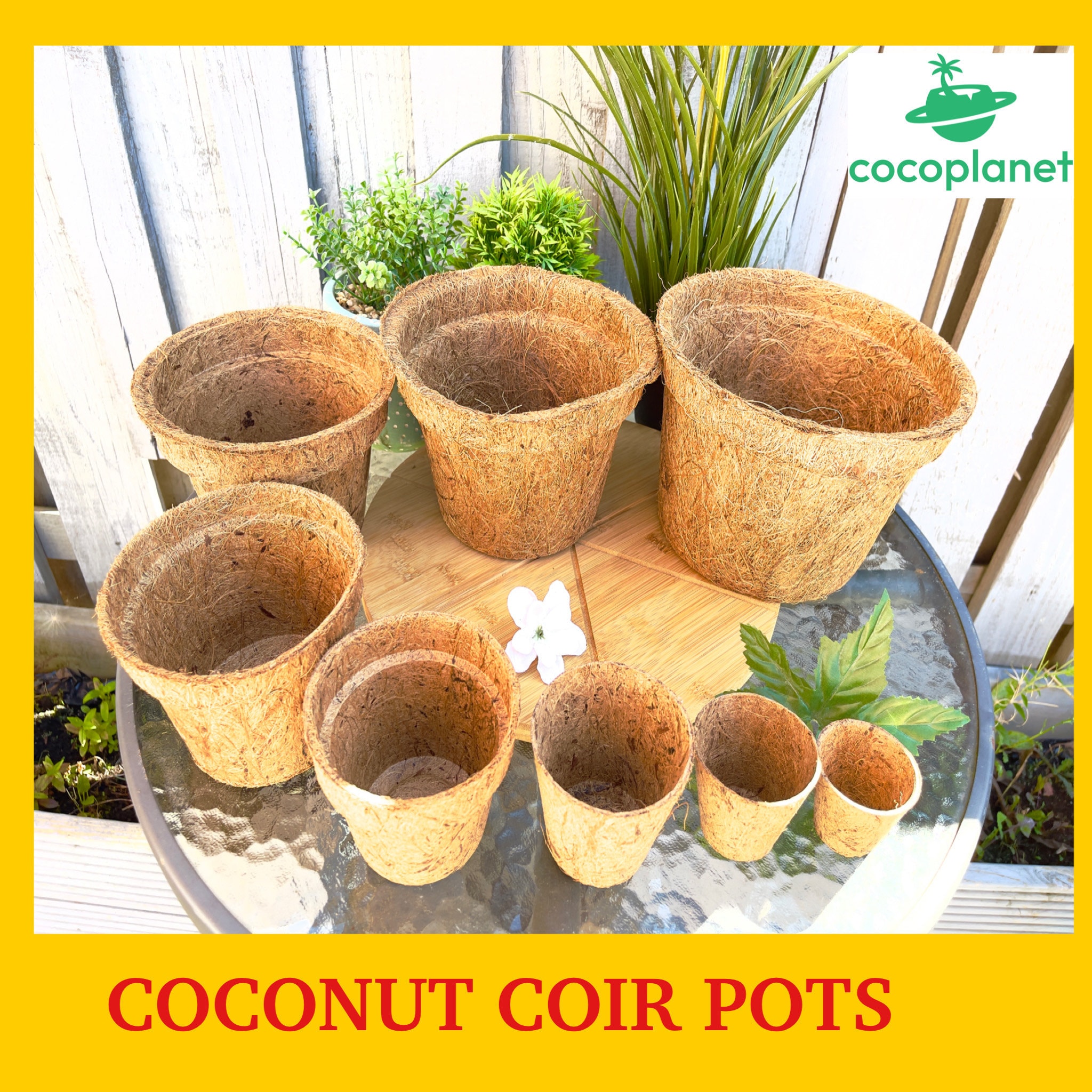 Coconut Coir Plant Pots Bundle / 10 Pack. Different Size Pack. - Etsy