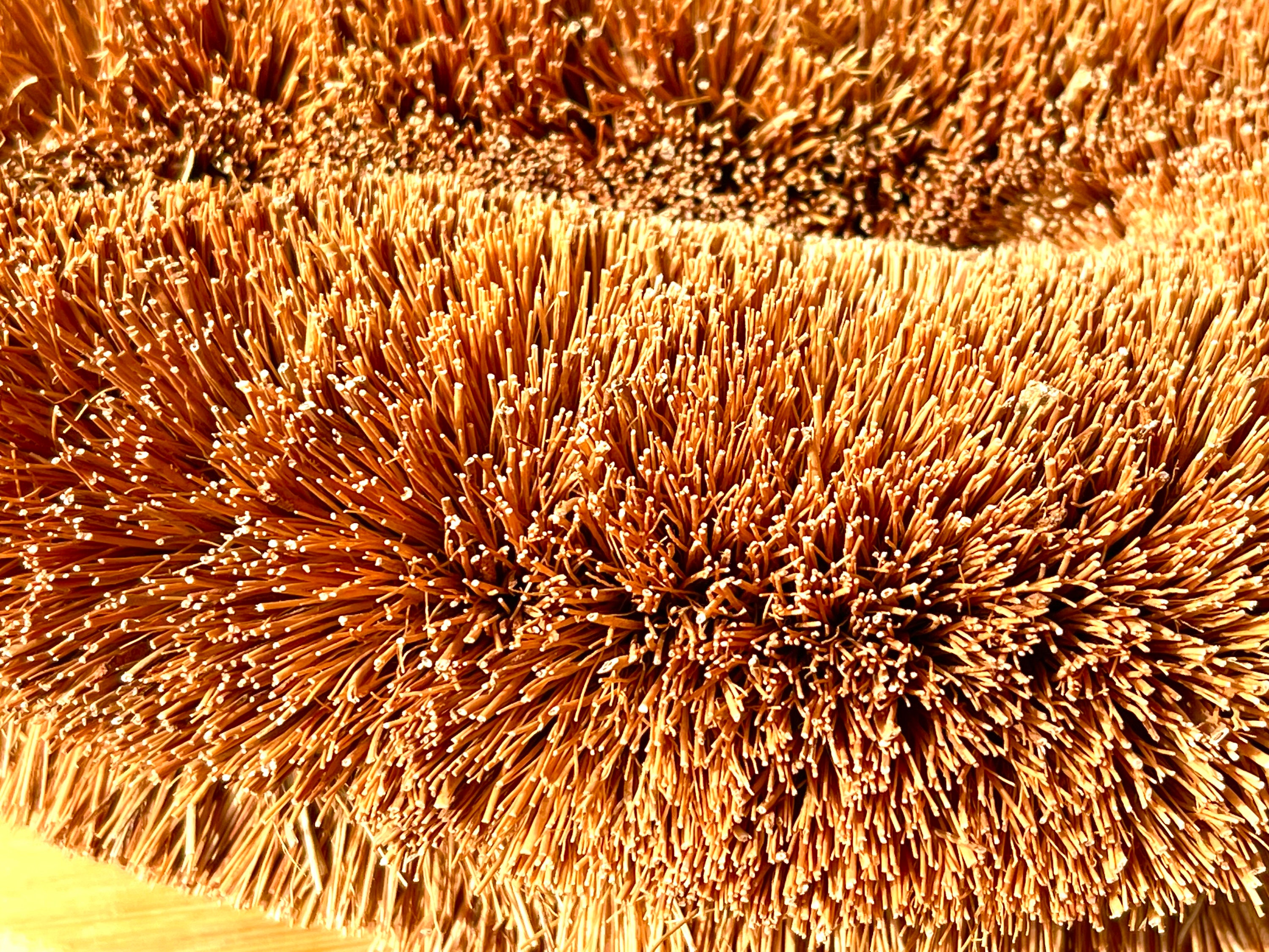 Pack of 2 - Coconut Scrubber 100% Natural Coconut Coir Fiber Brush ...