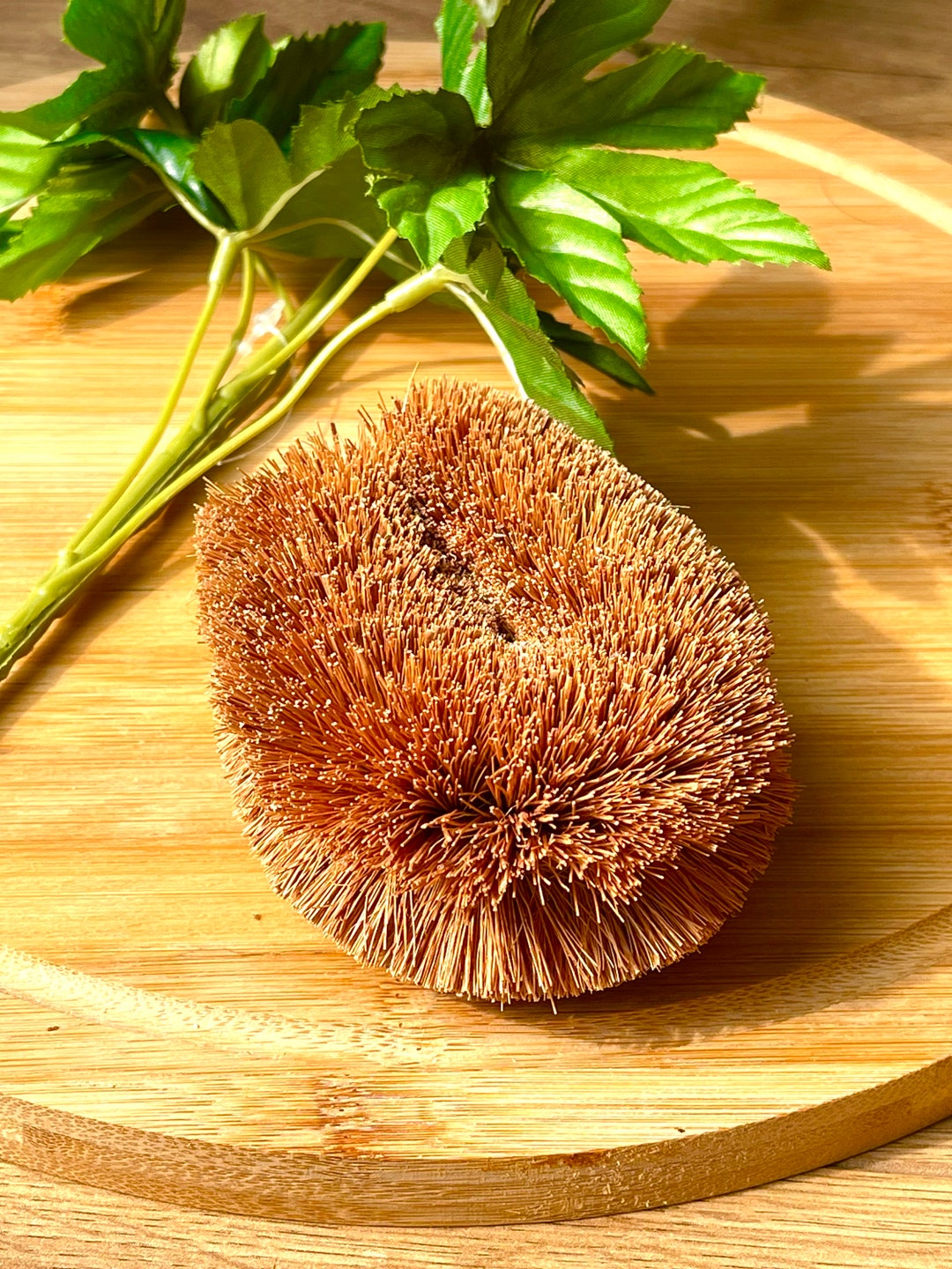 Pack of 2 - Coconut Scrubber 100% Natural Coconut Coir Fiber Brush ...