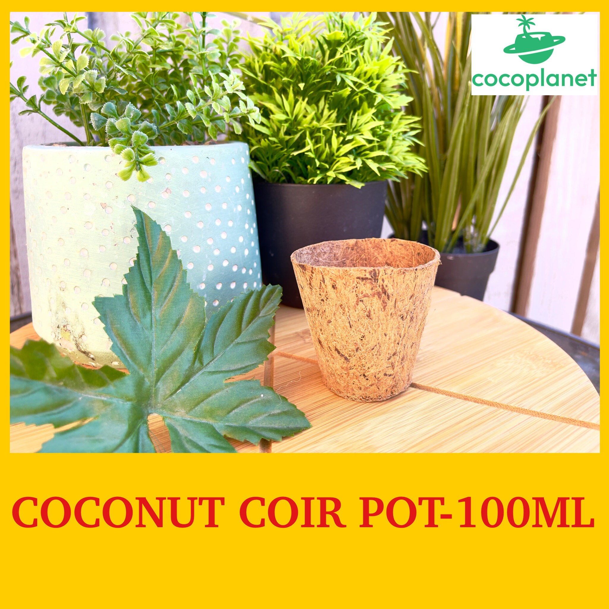 Coconut Coir Plant Pots Bundle / 10 Pack. Different Size Pack. - Etsy