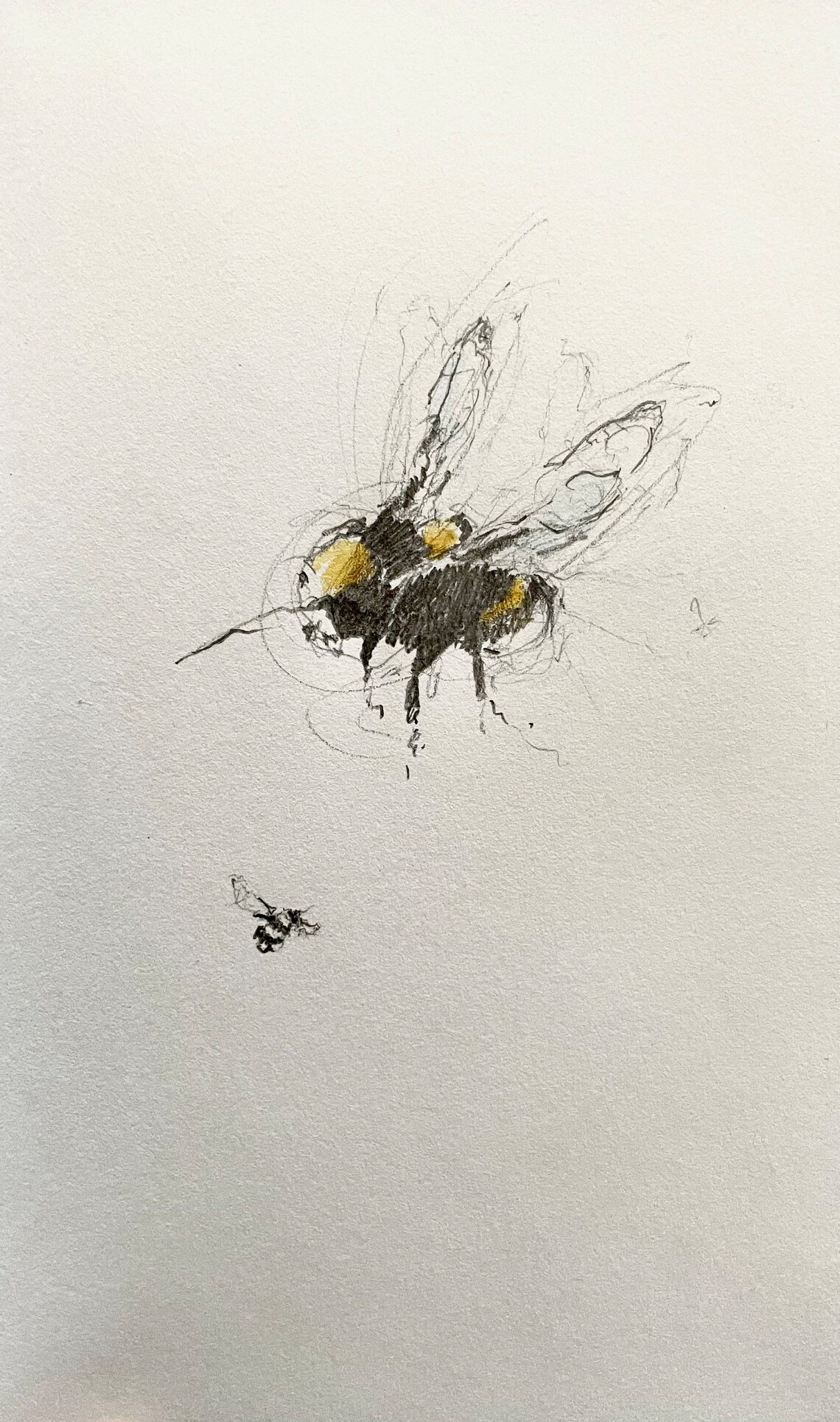 Miniature Bumblebee Pencil Drawing - Etsy