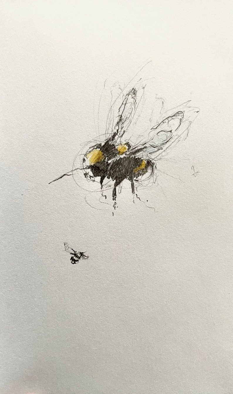 Miniature Bumblebee Pencil Drawing - Etsy
