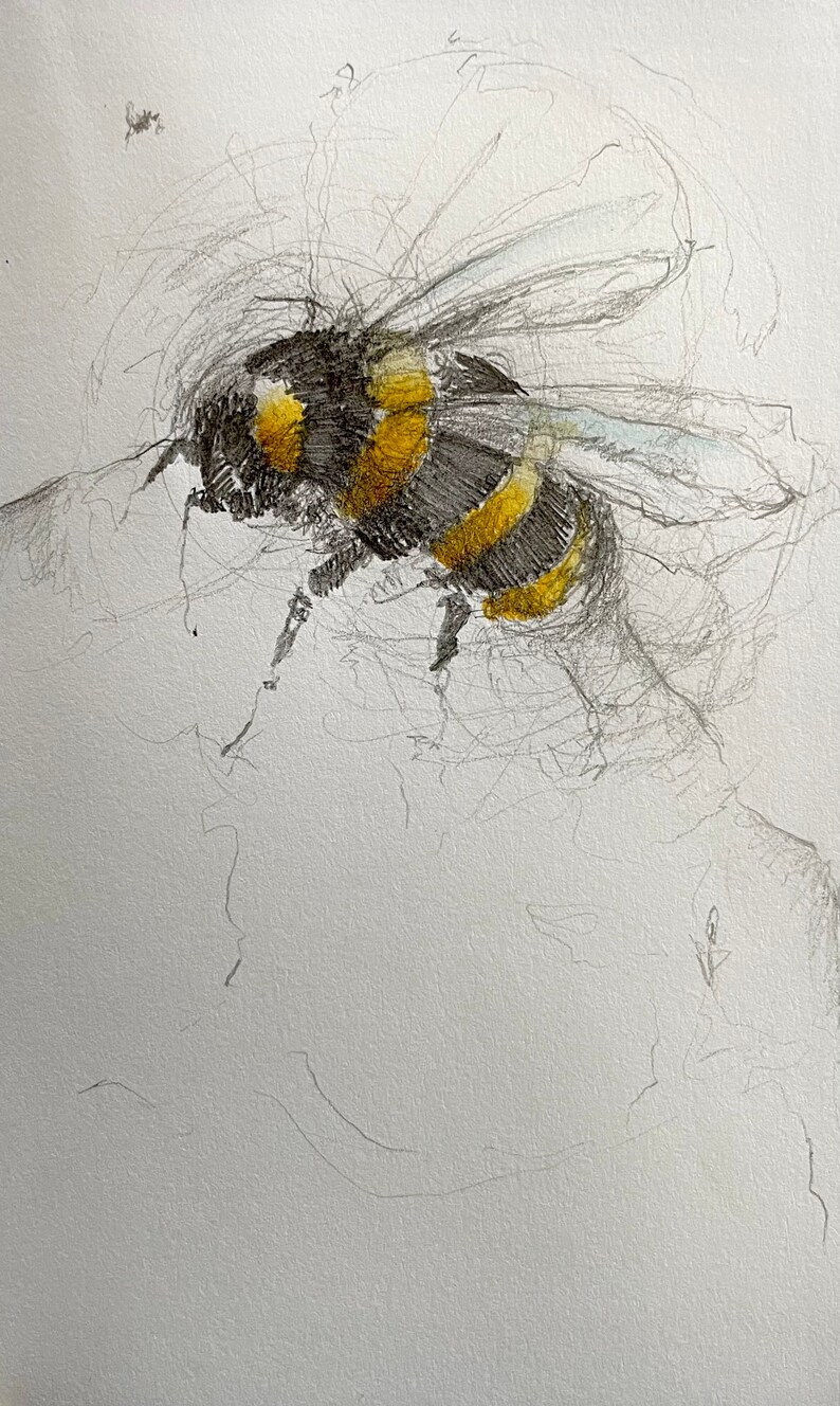 Miniature Bumblebee Pencil Drawing - Etsy