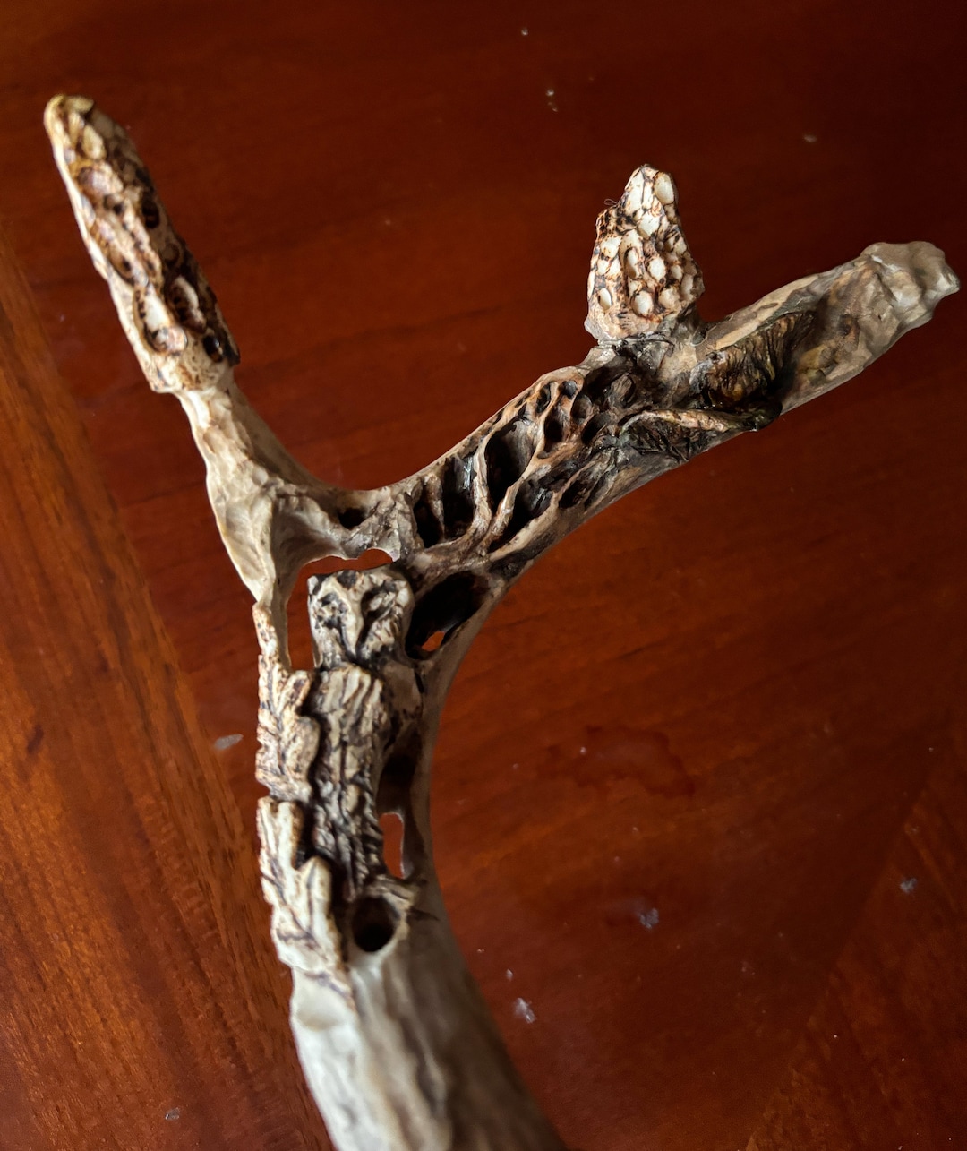 Forest Guardian Wand Carved Antler Talisman Owl Carving Morel Mushroom ...