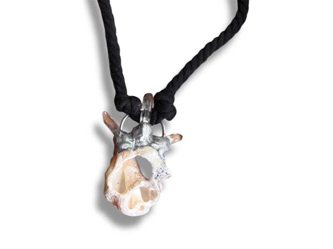 Moonpool - Shell Amulet - Etsy