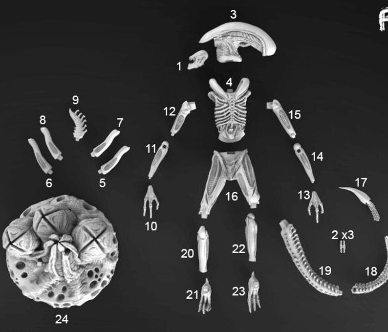 Alien Xenomorph 3d Model Stl File for 3d Printing aliens - Etsy