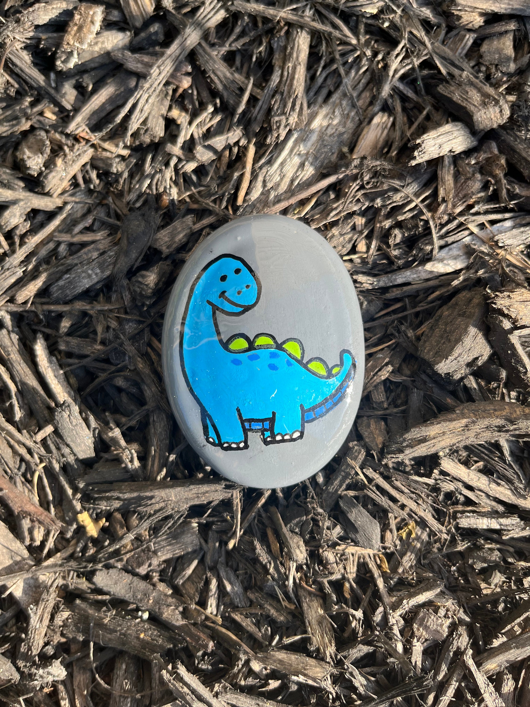 Dinosaur Stones - Etsy