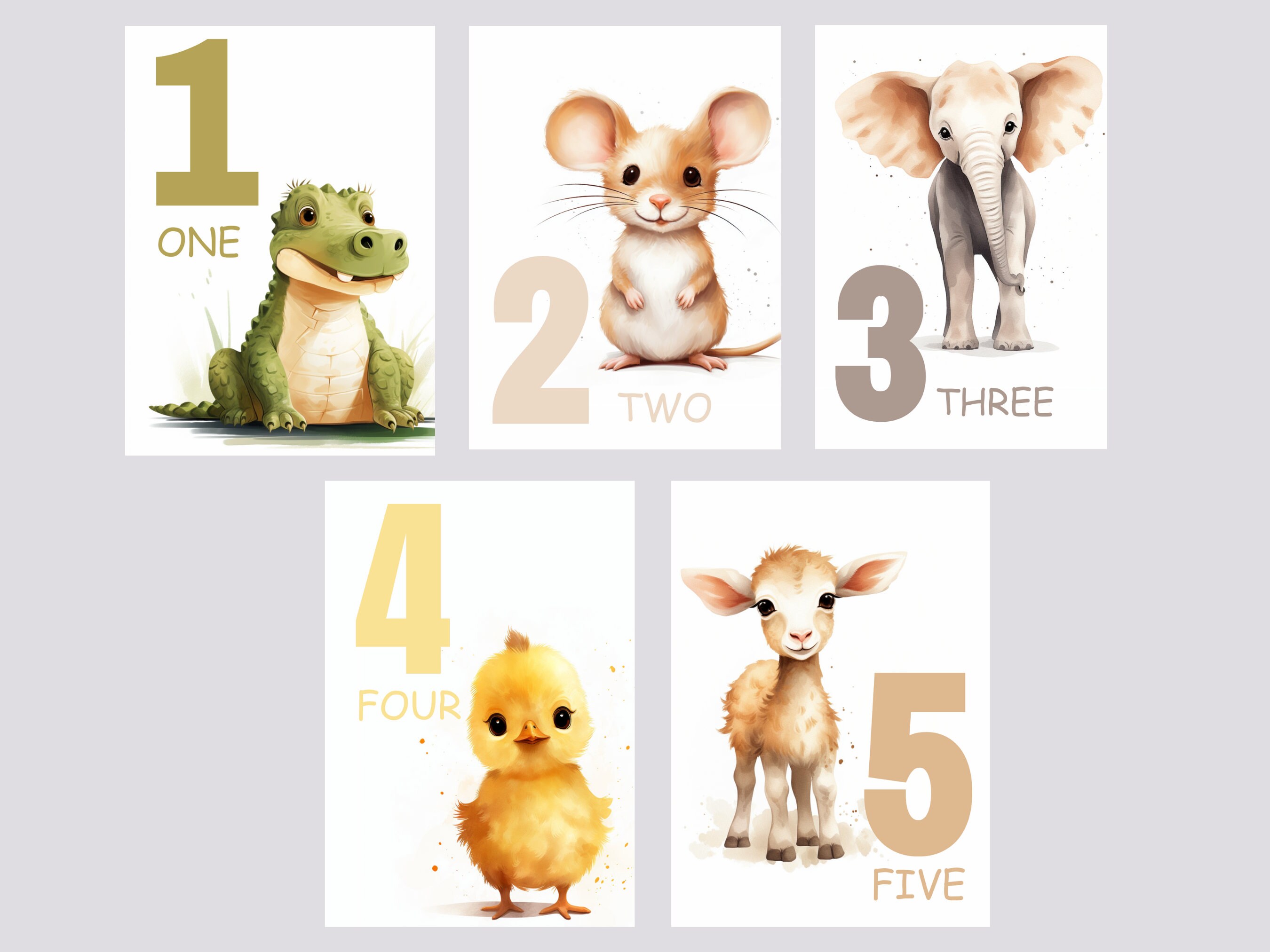 Number Flash Cards Digital Download Educational Cards for - Etsy