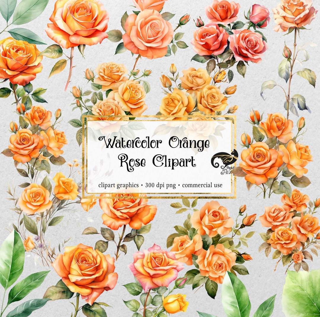 Orange Watercolor Roses Clipart Floral Roses and Leaves in PNG Format ...
