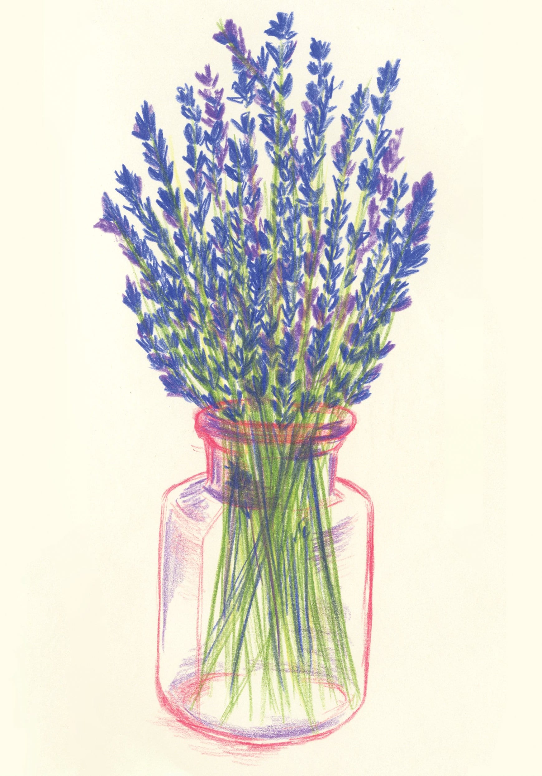 Lavender Art Print - Etsy