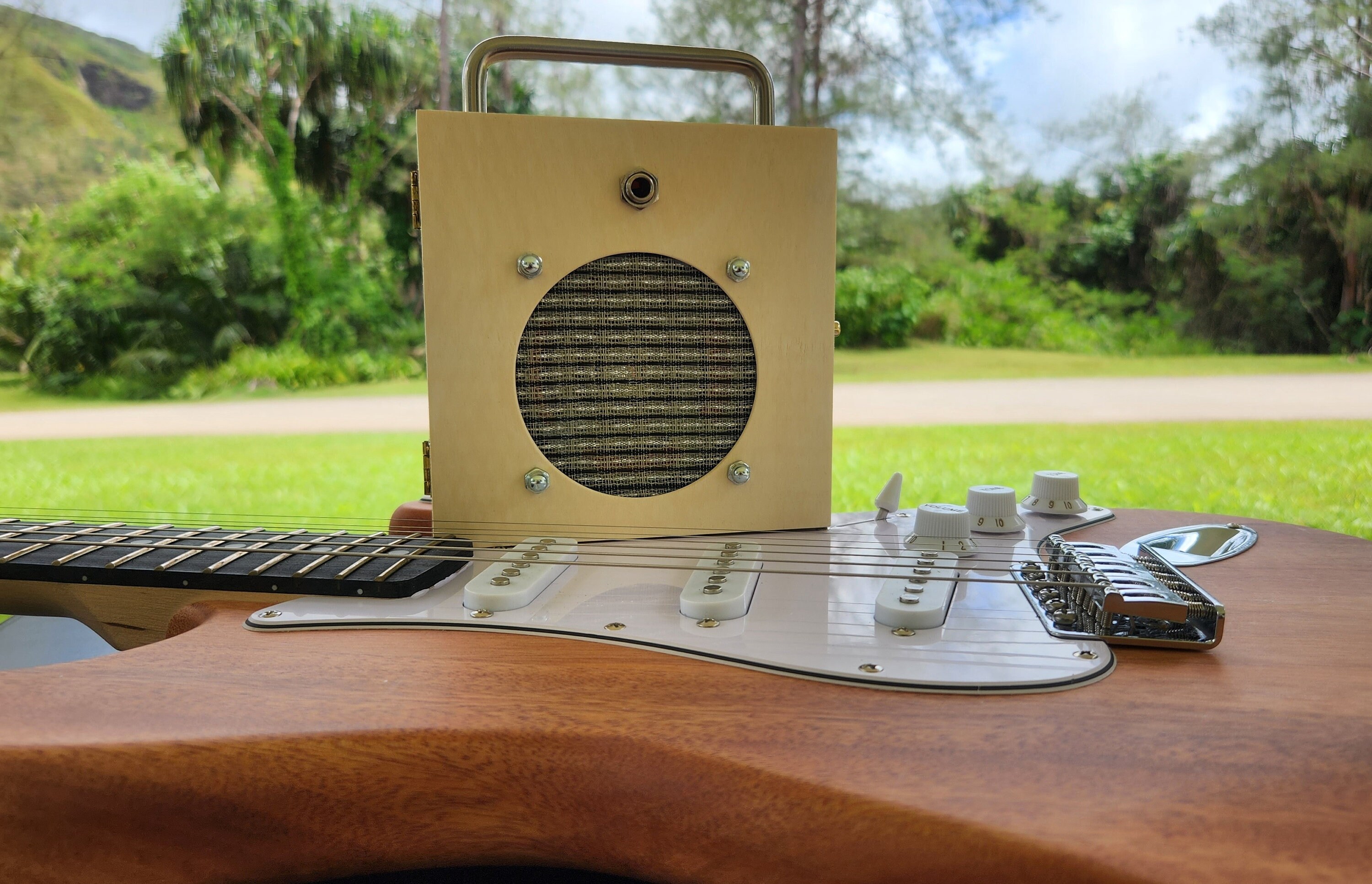 Cigar Box Amp: Portable Vintage-style Amplifier Vintage Cigar Box Amp ...