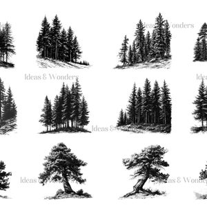 Pine Trees Procreate Stamps: Forest Foliage Brush Set (digital Download ...
