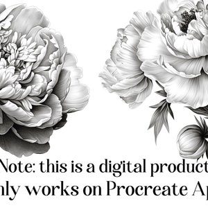 Peonies, 100 Procreate Stamps, Realistic Peony Brushes for Procreate, Floral Brushes, Flower ...
