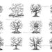 Spooky Tree Procreate Stamps: Halloween Brush Set (digital Download) - Etsy