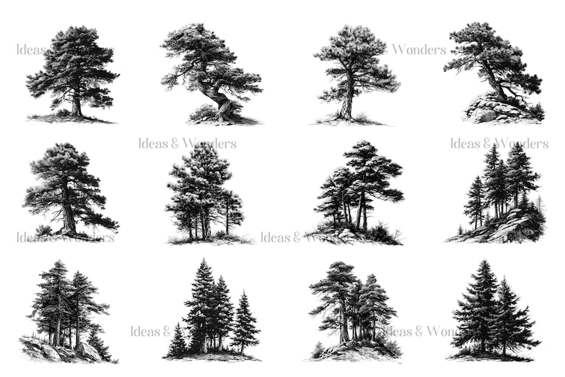 Pine Trees Procreate Stamps: Forest Foliage Brush Set (digital Download ...