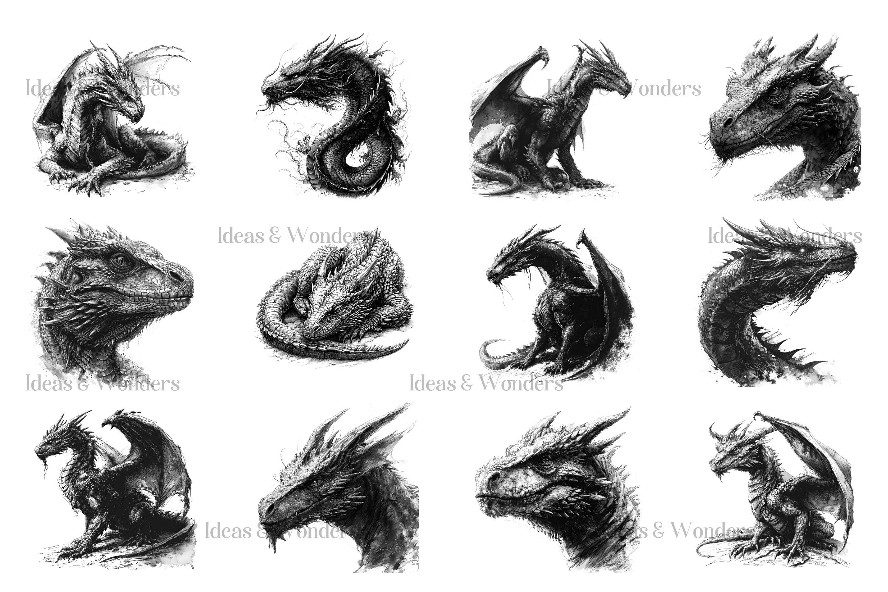 Dragons Procreate Stamp Brushes, 52 Procreate Stamps, Reference Images ...