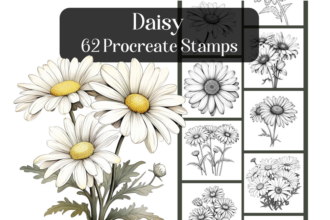 Daisy Procreate Stamps, 62 Realistic Floral Procreate Brushes ...