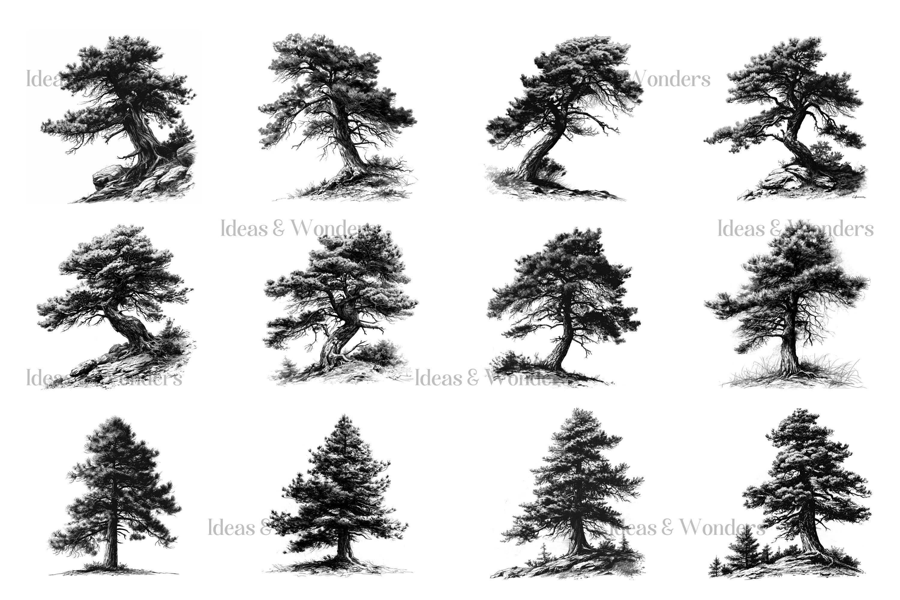 Pine Trees Procreate Stamps: Forest Foliage Brush Set (digital Download ...