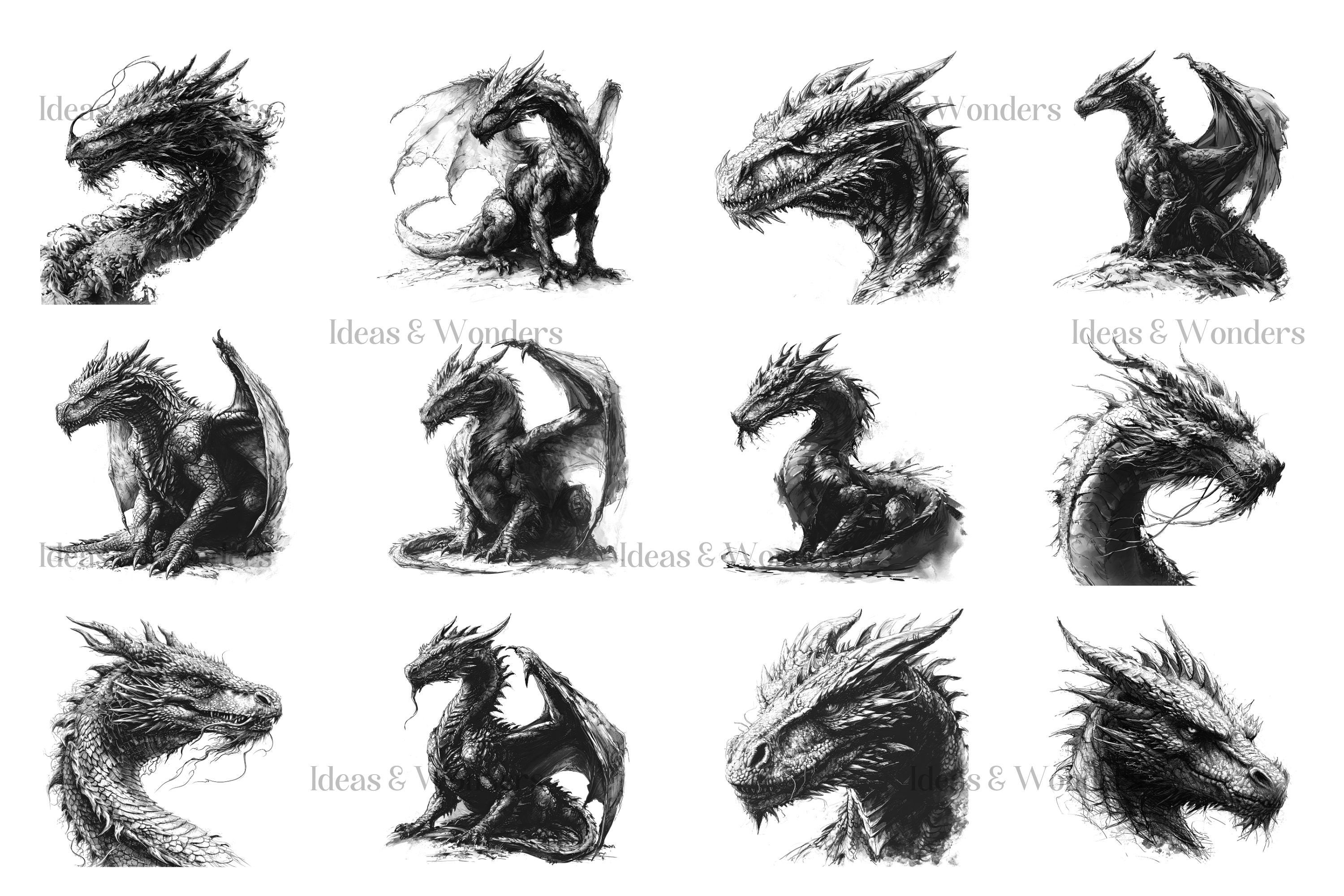 Dragons Procreate Stamp Brushes, 52 Procreate Stamps, Reference Images ...