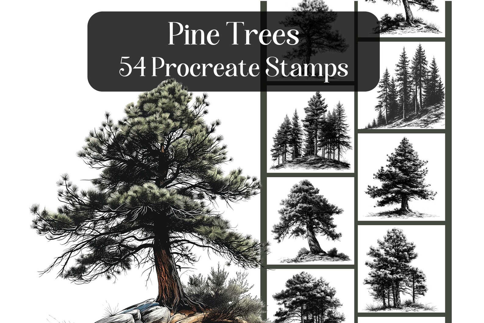 Pine Trees Procreate Stamps: Forest Foliage Brush Set (digital Download ...