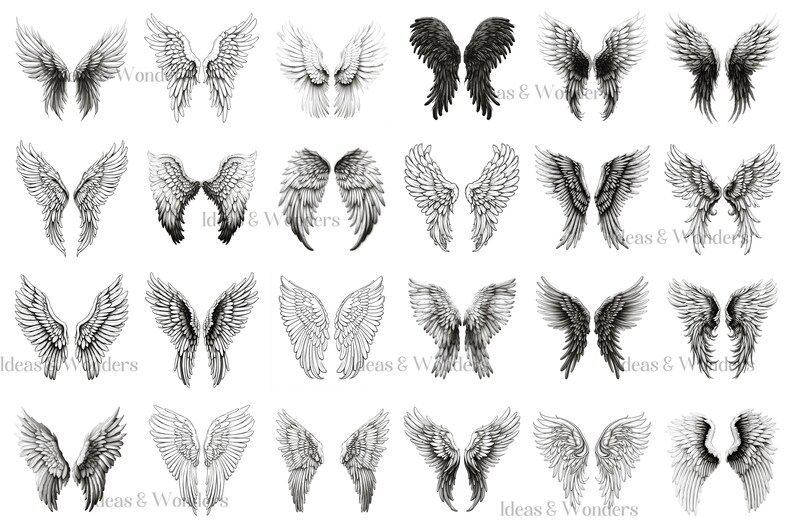 Angel Wings Procreate Stamps: 137 Realistic Brushes (digital Download ...