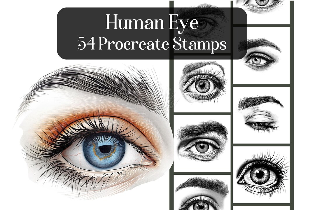 Eye Procreate Stamps: 54 Portrait Brushes (digital Download) - Etsy