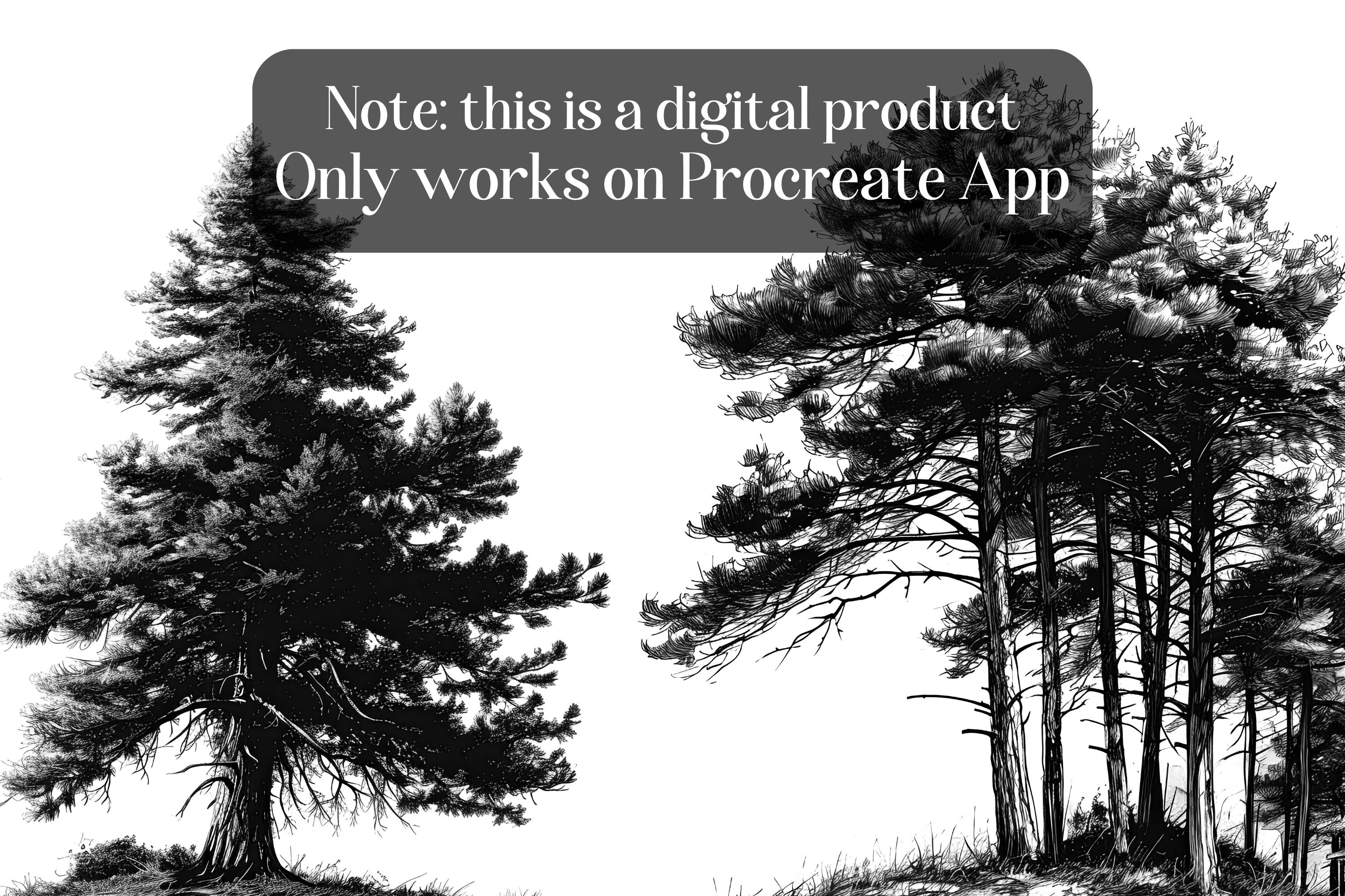 Pine Trees Procreate Stamps: Forest Foliage Brush Set (digital Download ...