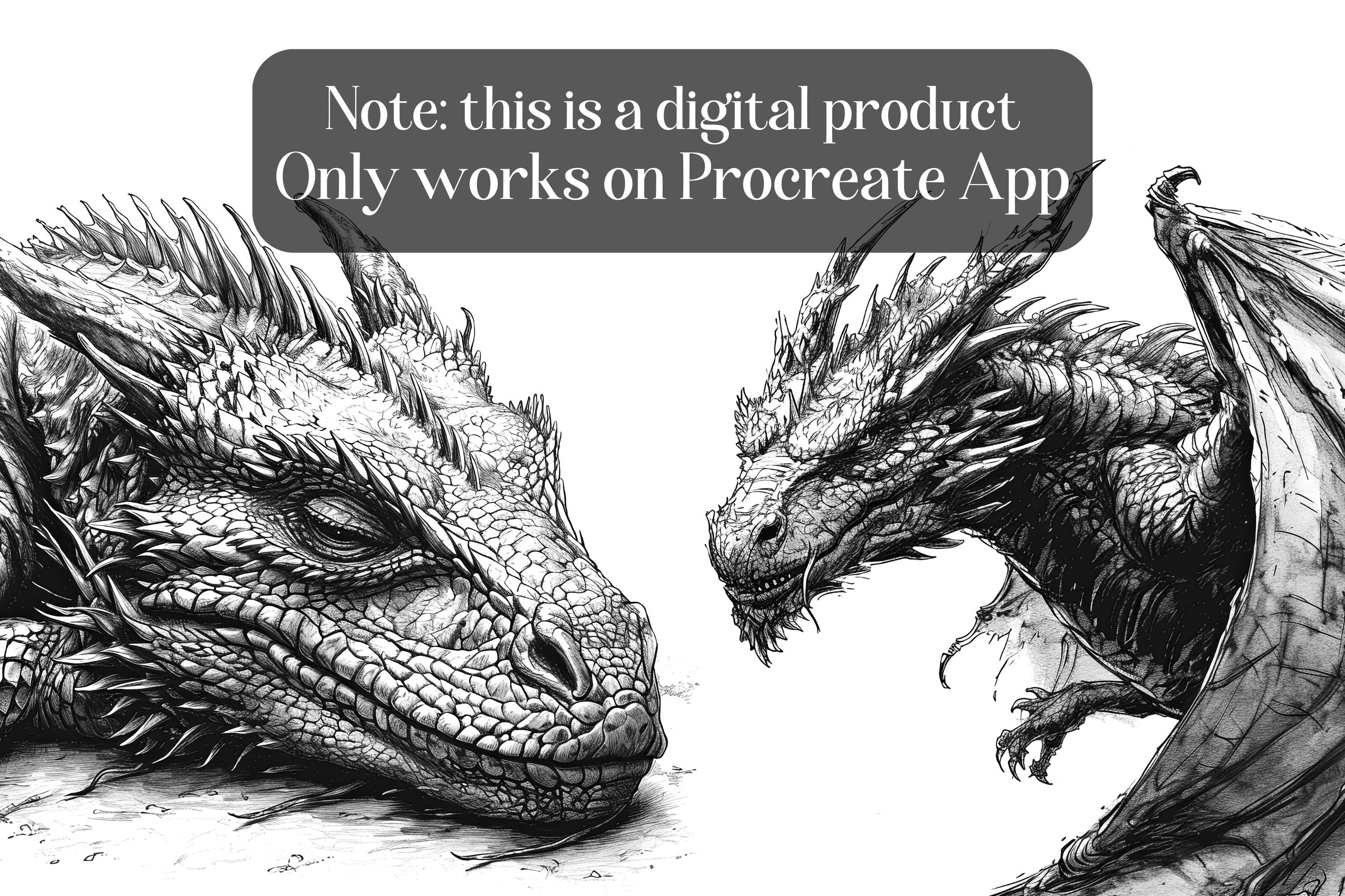 Dragons Procreate Stamp Brushes, 52 Procreate Stamps, Reference Images ...