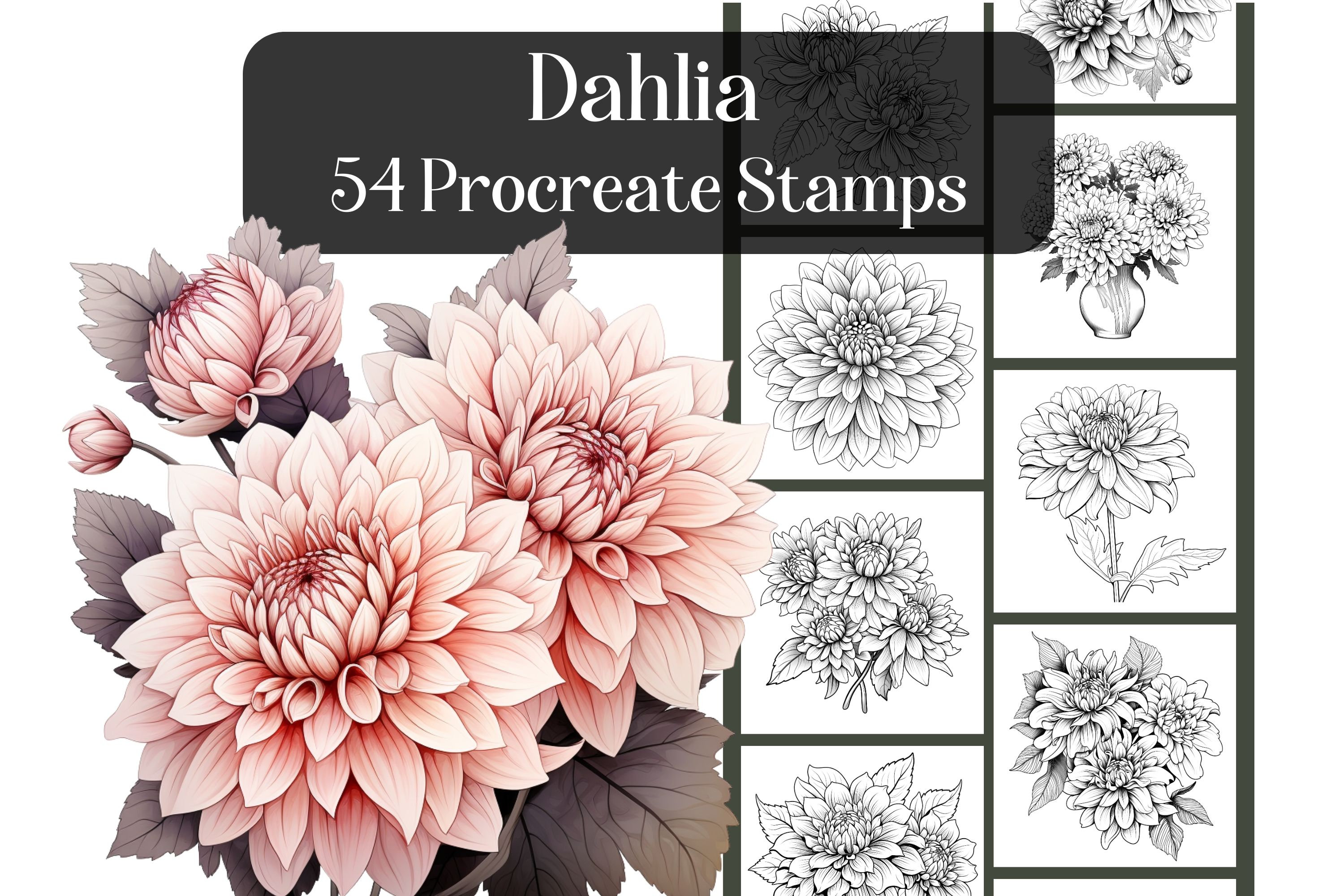 Dahlia Procreate Stamps, 54 Realistic Floral Procreate Brush Stamps ...