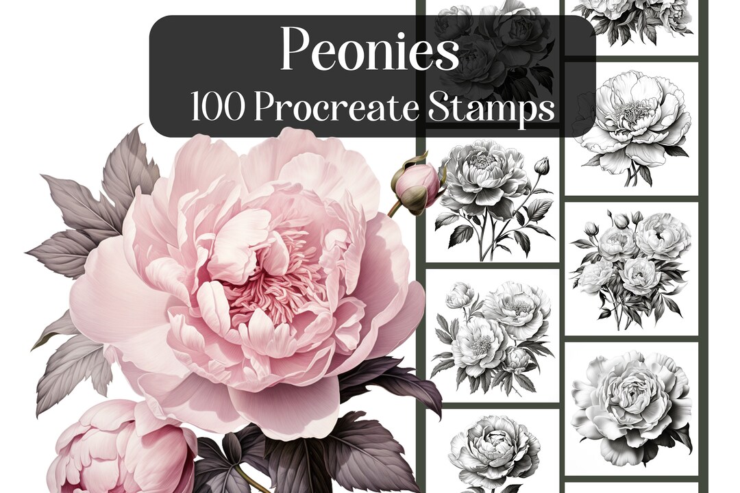 Peonies, 100 Procreate Stamps, Realistic Peony Brushes for Procreate ...