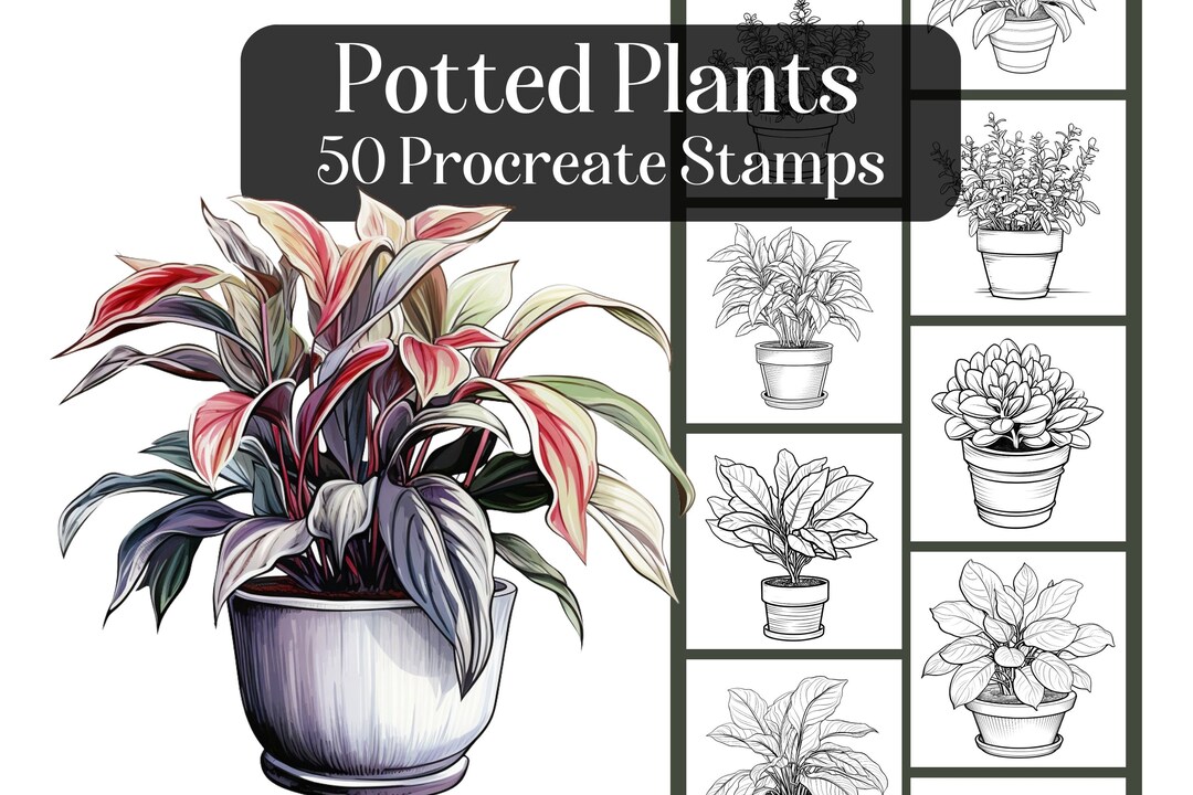 Potted Plants Procreate Stamps: 50 Houseplant Brushes (digital Download ...